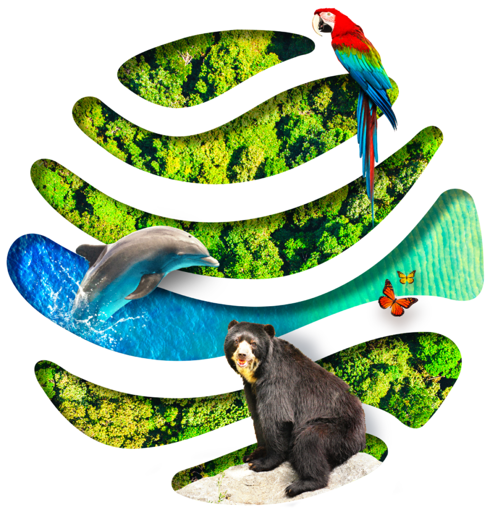 Oxify.Earth – Oxify.Earth